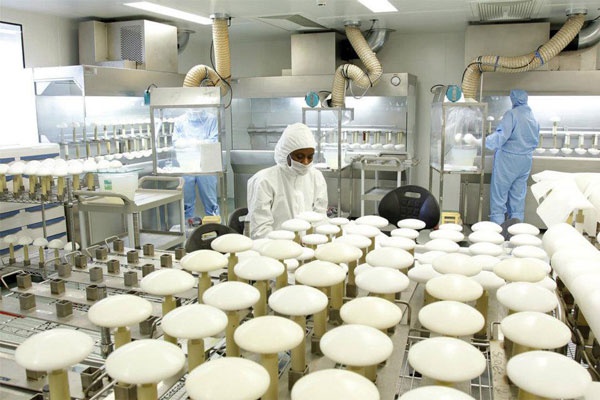 Nâng ngực túi Sebbin có tốt không? Quy trình? Chi phí?